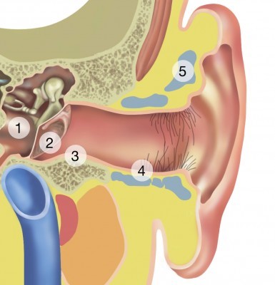 Medi-Mere - Huisartsenpraktijk in Almere: Oorsmeer: Oor uitspuiten